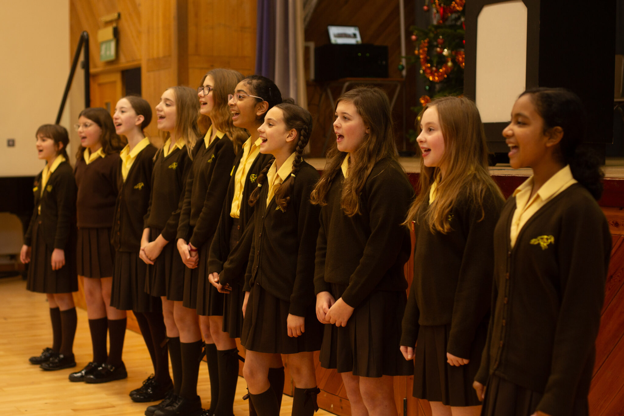 *Darrick Wood Way – Bulletin – 20/12/2024